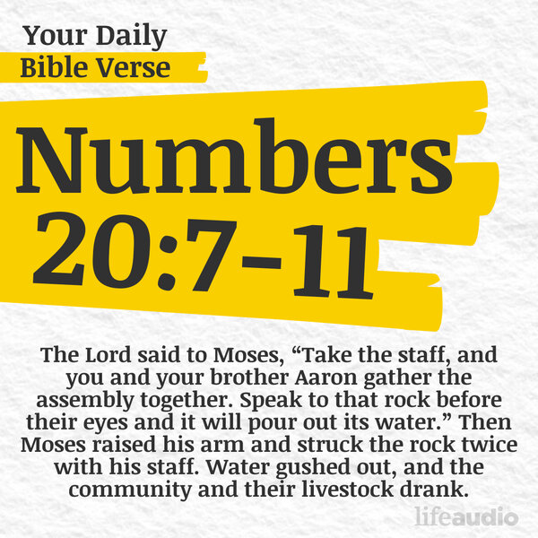 The Danger of Self-Sufficiency (Numbers 20:7-11) - Your Daily Bible ...