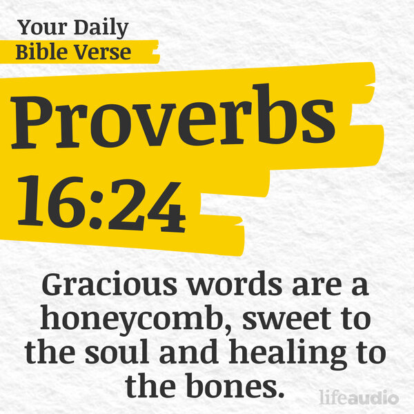The Power of Gracious Words (Proverbs 16:24) - Your Daily Bible Verse ...