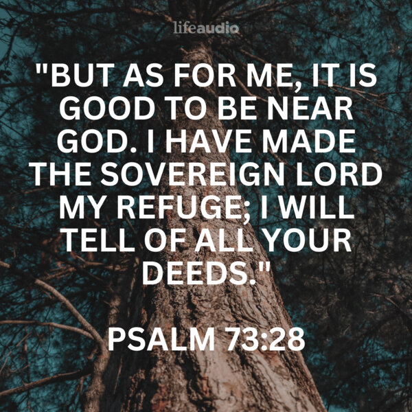 Throwing Spiritual Temper Tantrums (Psalm 73:28) - Your Daily Bible ...