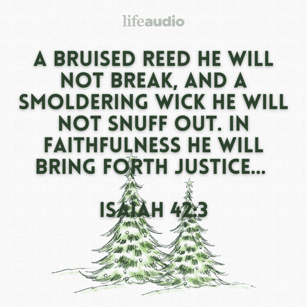 What Is Jesus' Heart Like For Us? (Isaiah 42:3) - Your Daily Bible ...
