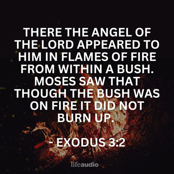 Where Are Bushes Burning in Your Life? (Exodus 3:2) - Your Daily Bible Verse - Omny.fm