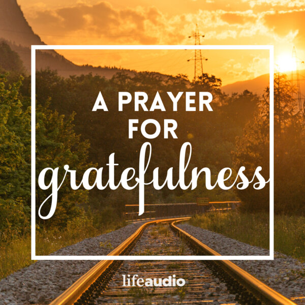 A Prayer for Gratefulness - Your Daily Prayer - Omny.fm