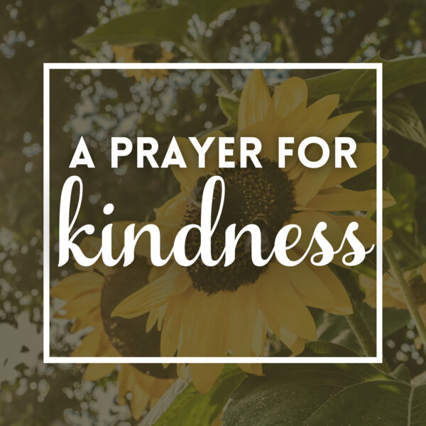 A Prayer for Kindness - Your Daily Prayer - Omny.fm