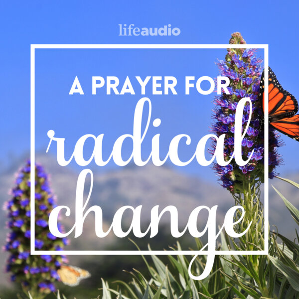 A Prayer for Radical Change - Your Daily Prayer - Omny.fm