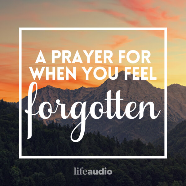 A Prayer for When You Feel Forgotten - Your Daily Prayer - Omny.fm